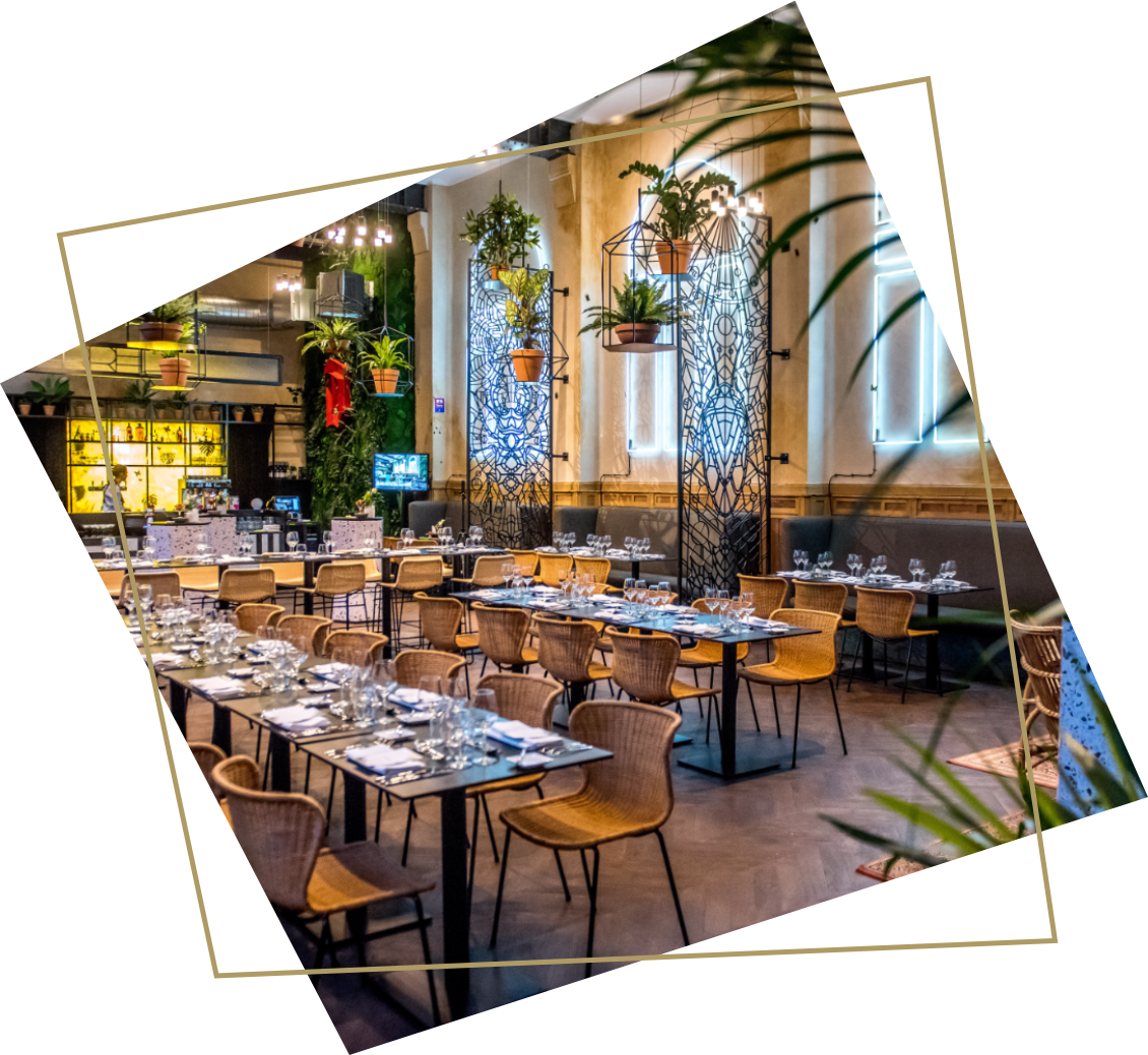 Over ons – De Serre